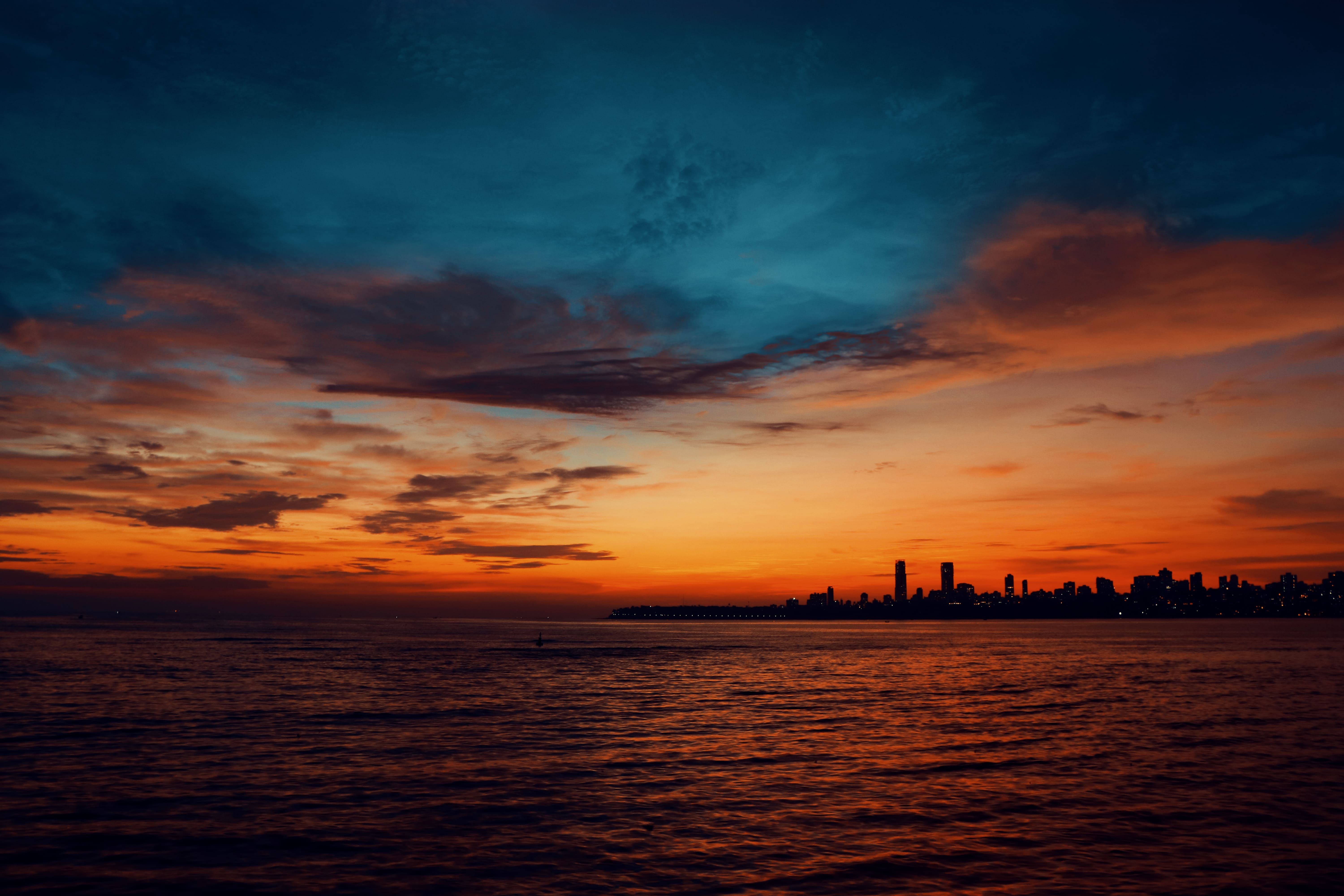 Sony BBC Earth | Earth In Focus | Gallery Details