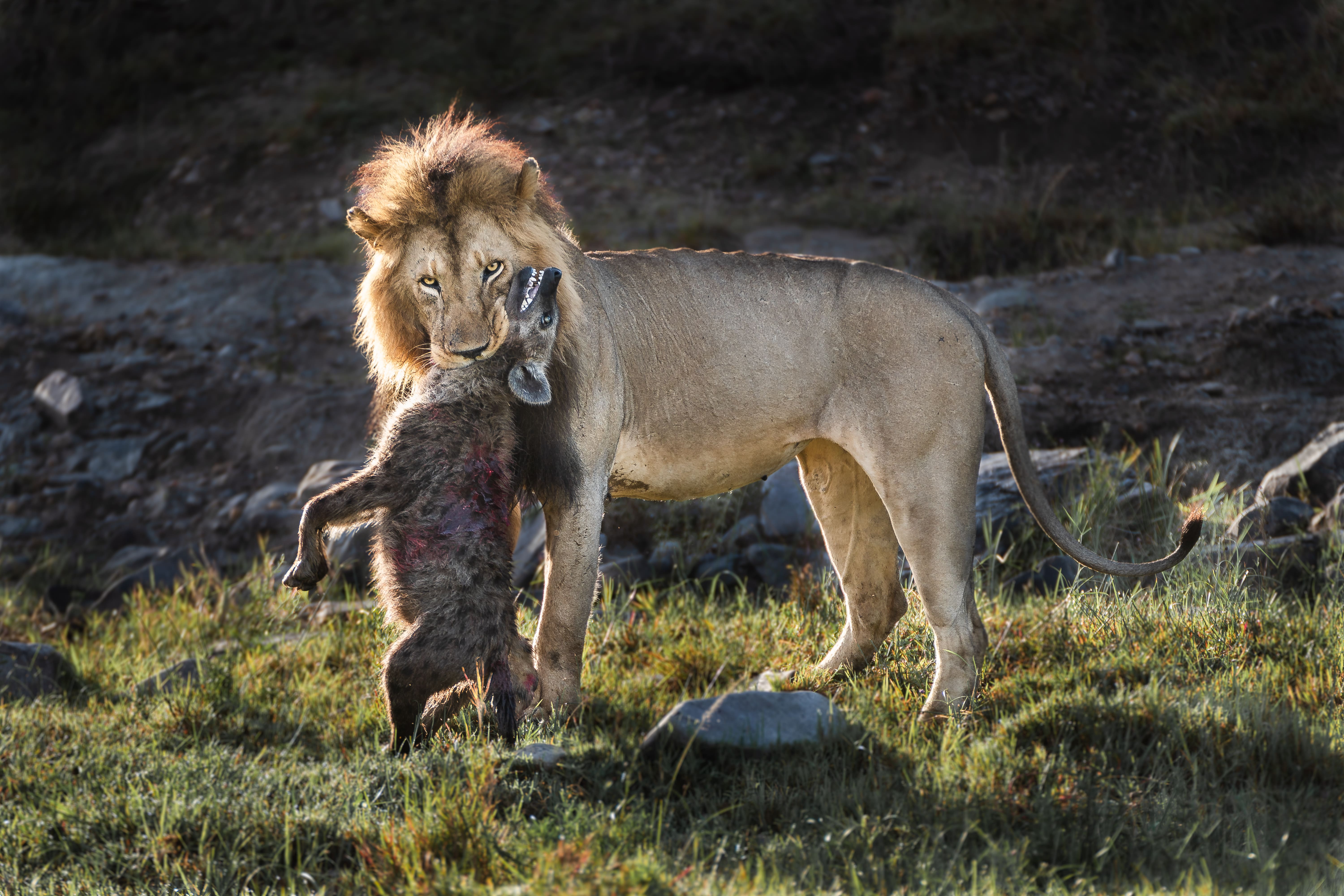 Sony BBC Earth | Earth In Focus | Gallery Details