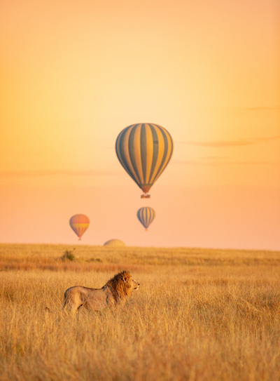 Sony BBC Earth | Earth In Focus | Winner Image Details