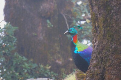 Sony BBC Earth | Earth In Focus | User Upload Image Details