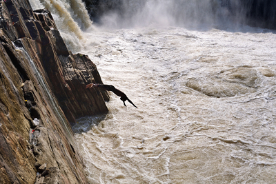 Sony BBC Earth | Earth In Focus | User Upload Image Details