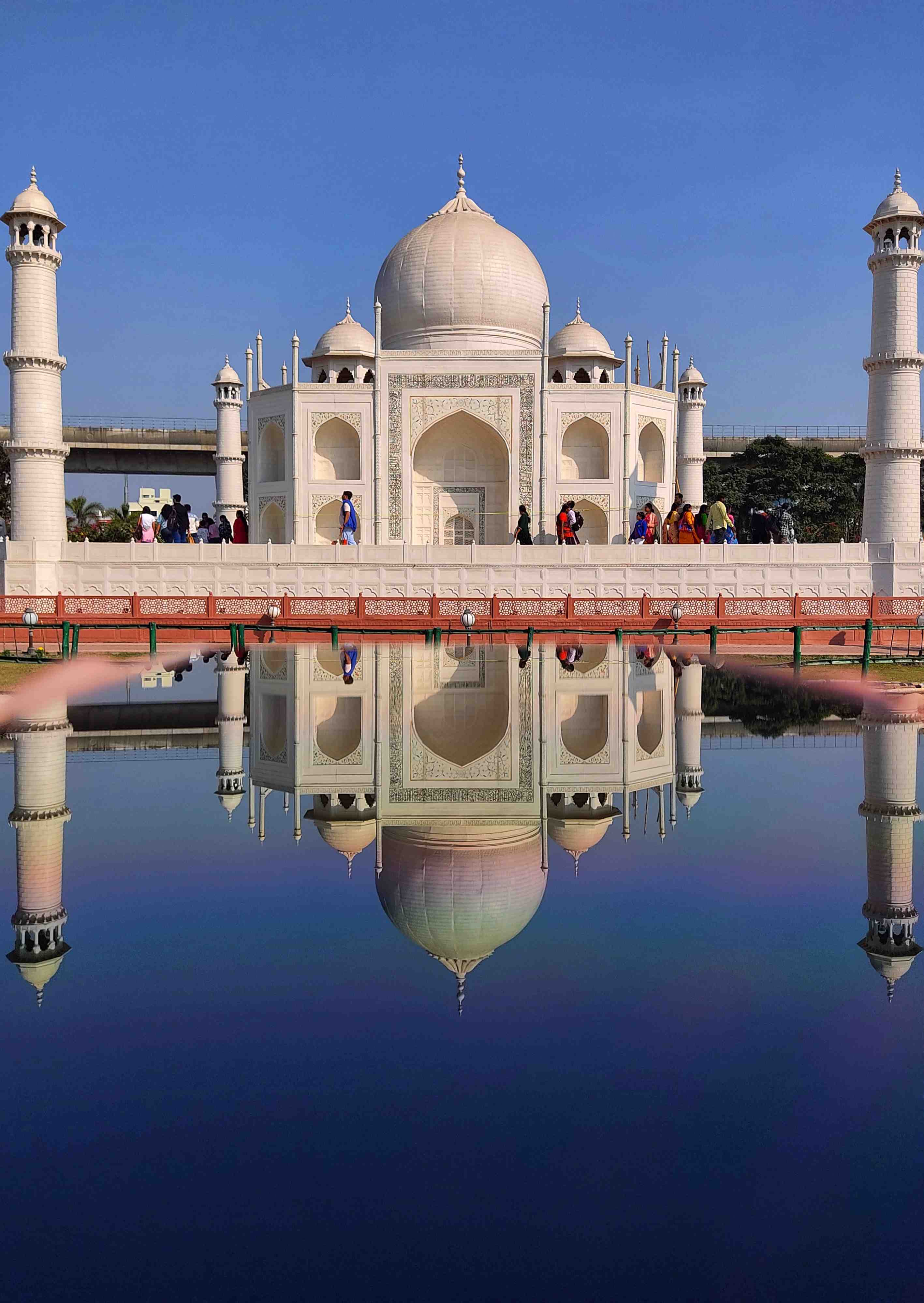 Sony BBC Earth | Earth In Focus | Gallery Image Details